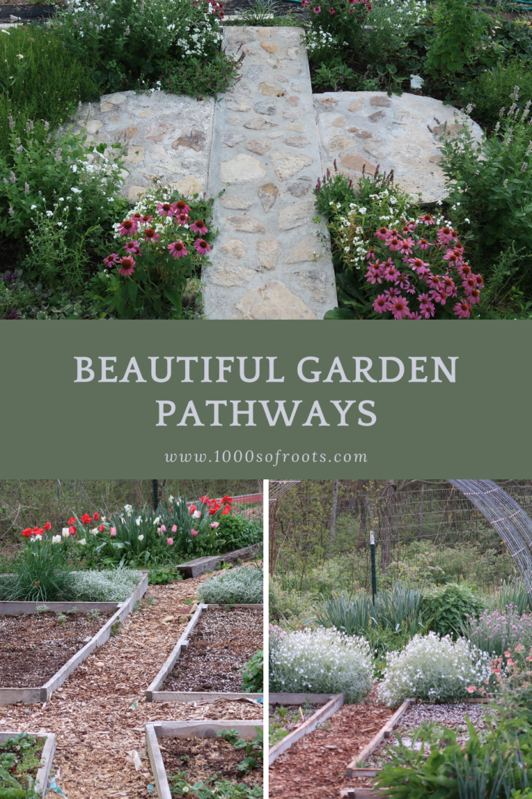 Beautiful Garden Pathways - 1000's of roots